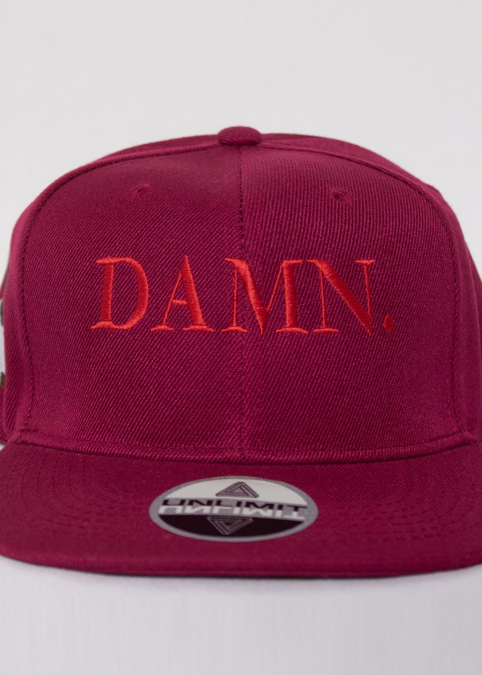 Kendrick Lamar Snapback Cap Damn. - Etsy Canada