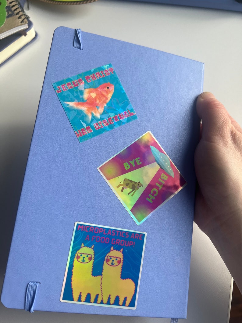 Jesus Was Bisexual Fish Sticker - Etsy