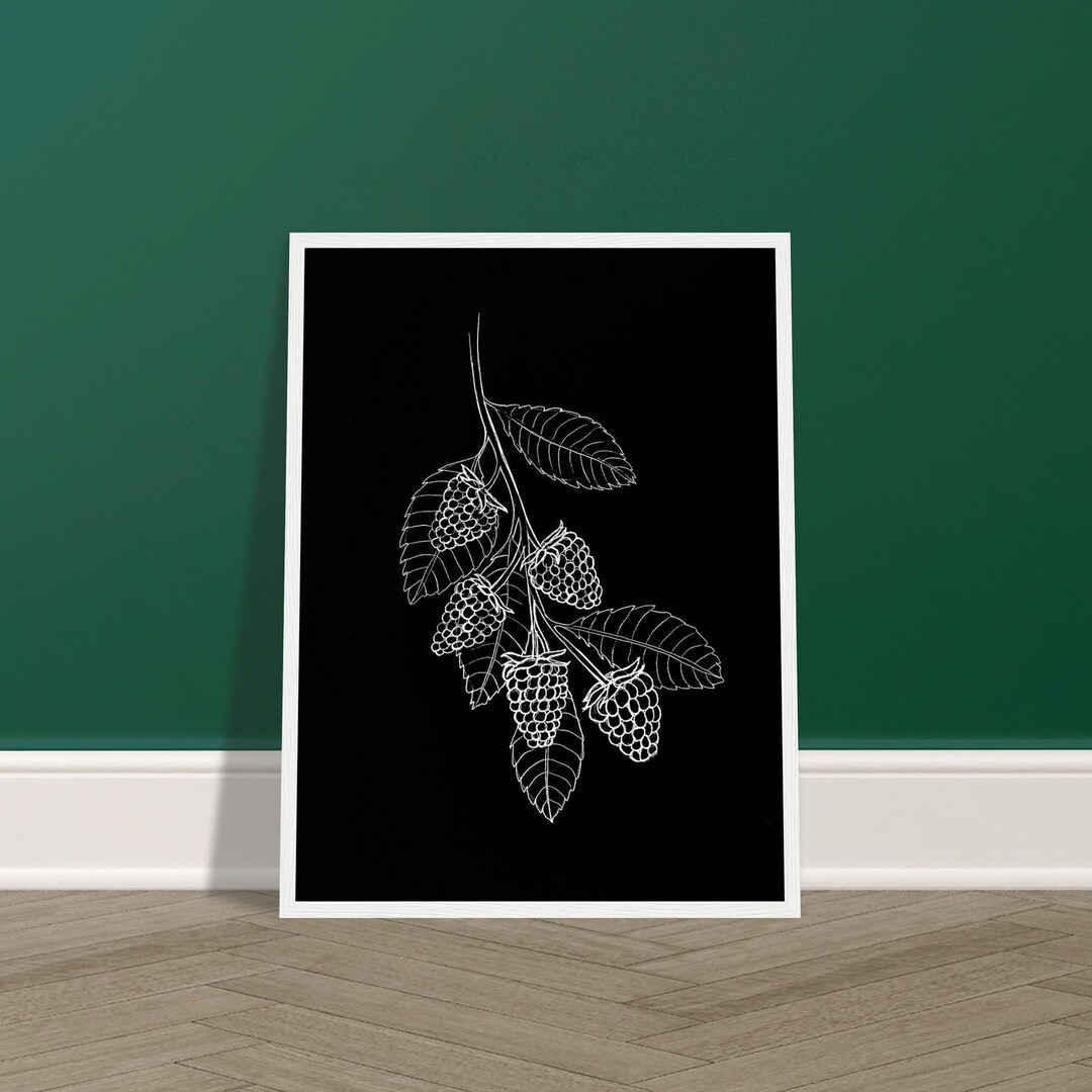 Raspberry Wall Art, X-ray Wall Art, X-ray Raspberry Design, Premium ...