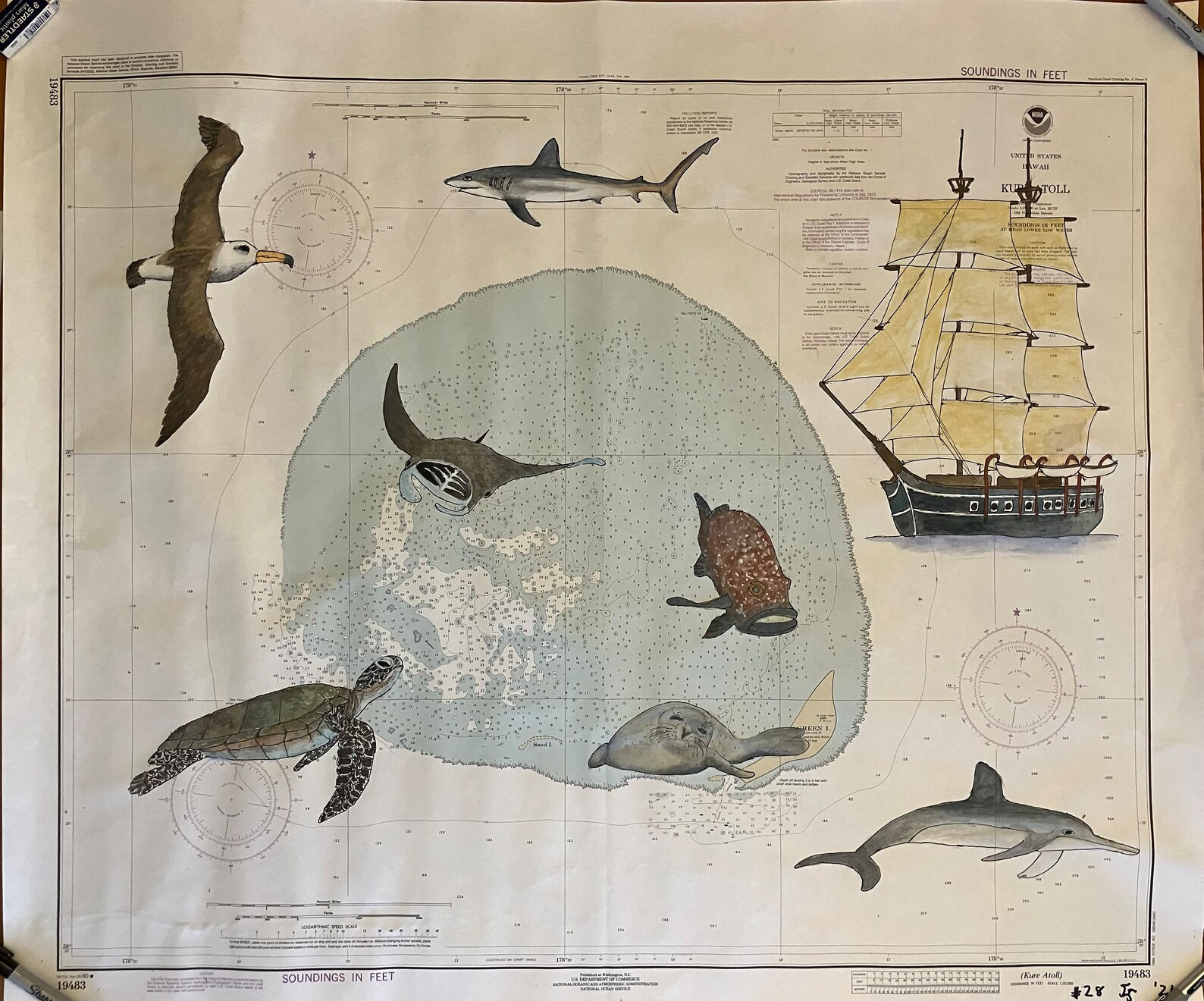 Chart Art: Painting of a Whaling Ship, Albatross, Shark, Dolphin, Sea ...