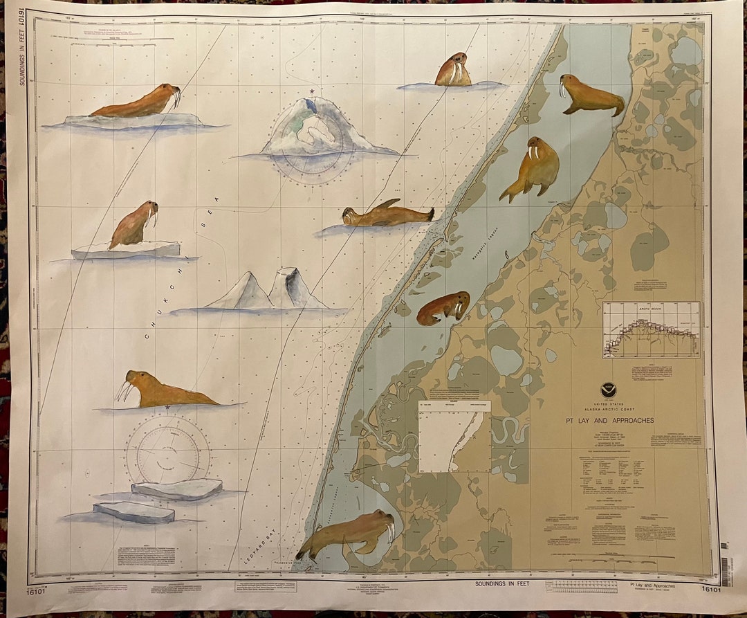 Chart Art: Watercolor Painting of Walruses and Icebergs on a Nautical ...