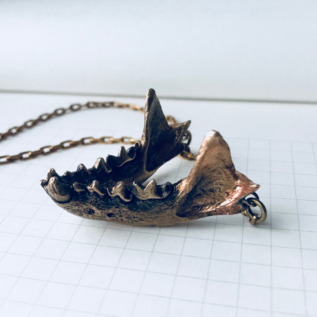 Bronze Cast Mink Jawbone Pendant - Etsy