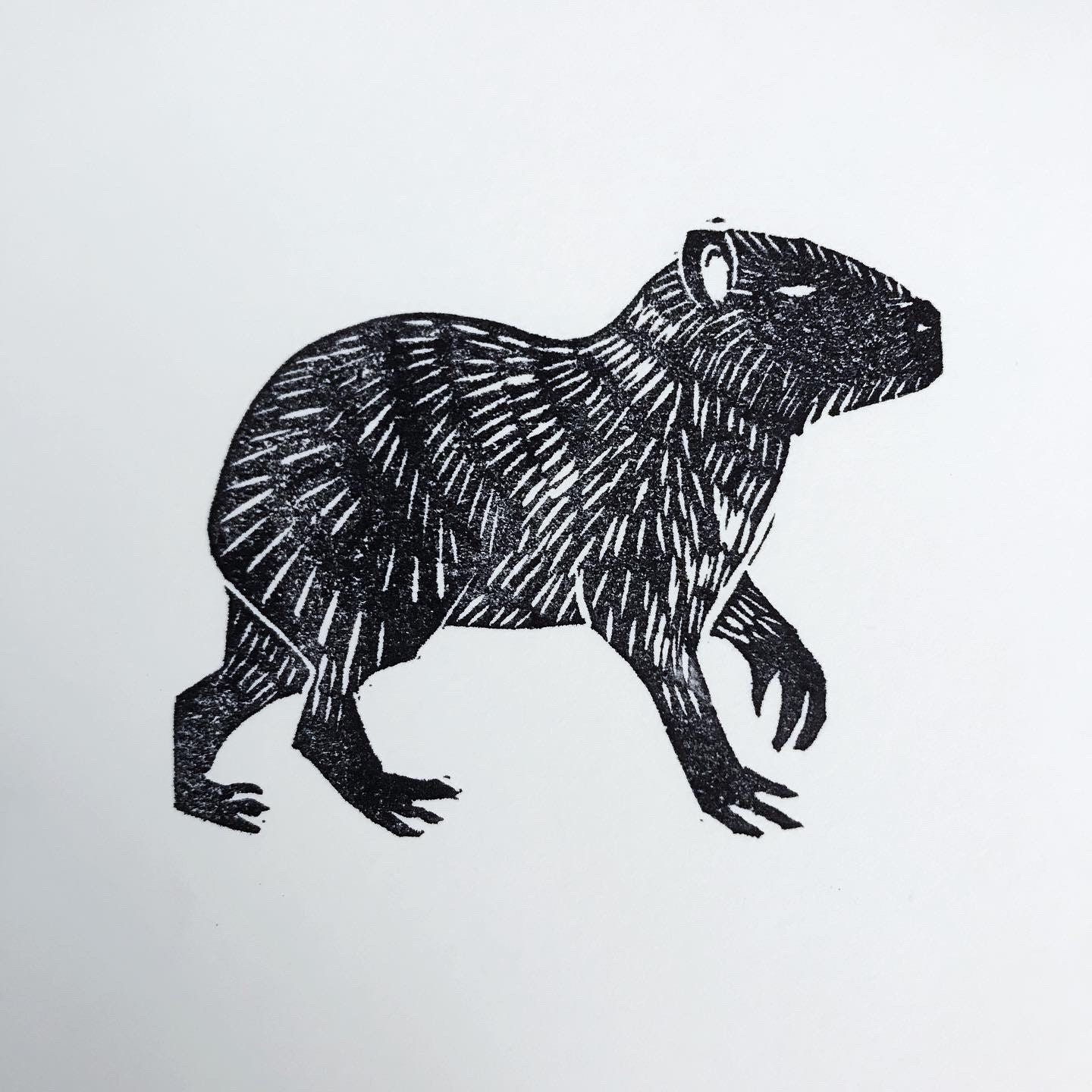 Capybara 5x7 Print - Etsy