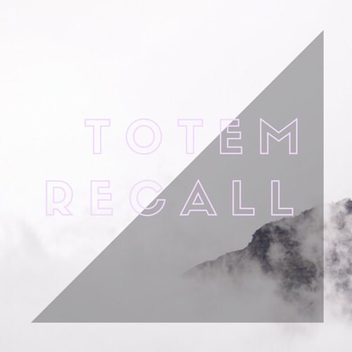 TotemRecall - Etsy