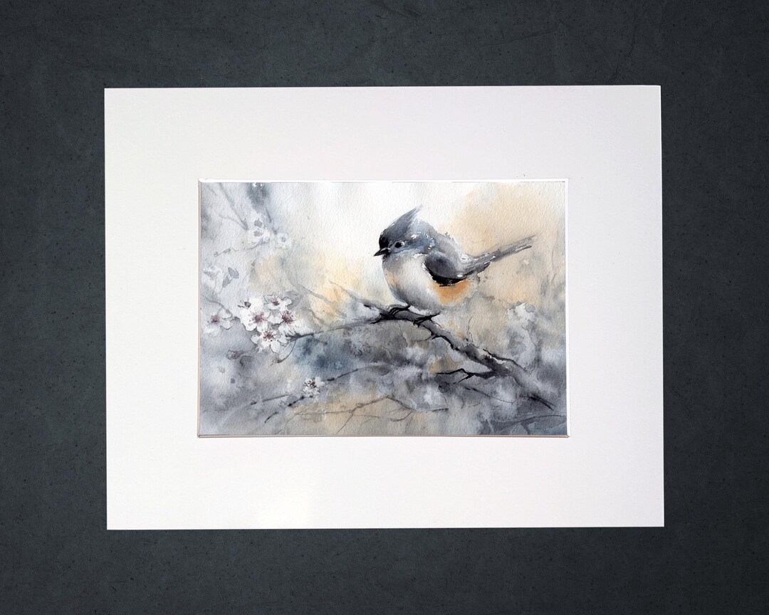Tufted Titmouse Print. Bird Art Print of Original Watercolor Painting ...