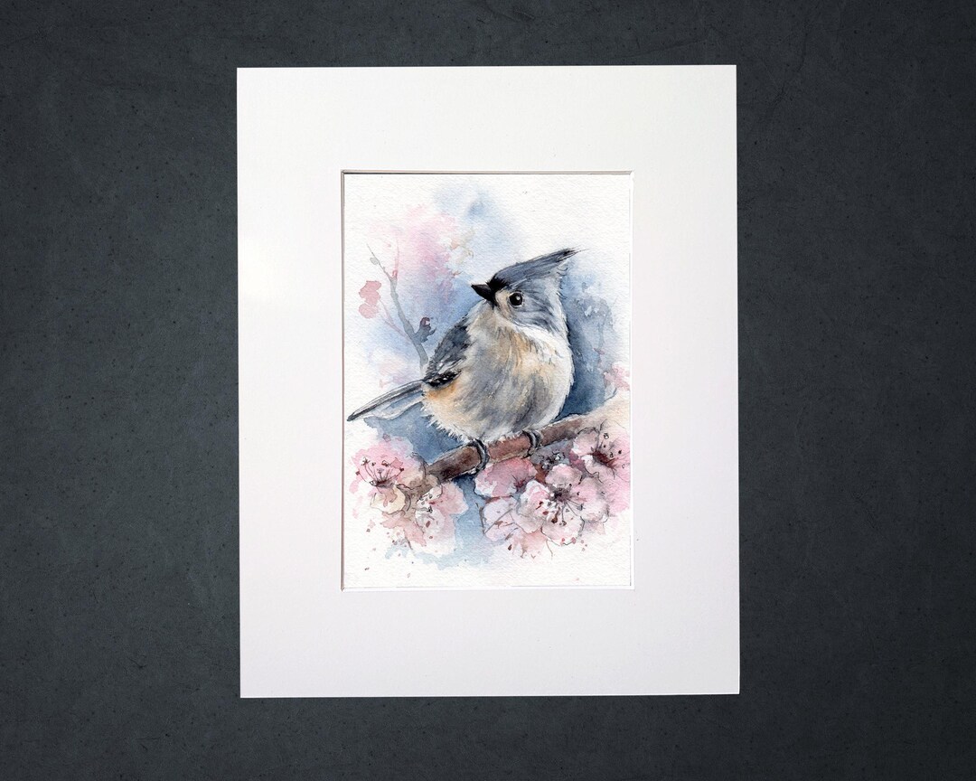 Tufted Titmouse Print. Bird Wall Art. Birds Art Print of Original ...