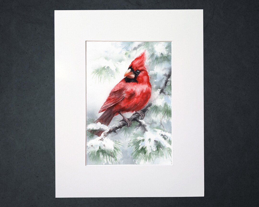 Red Cardinal Print. Bird Wall Art. Cute Birds. Birds Art Print of ...
