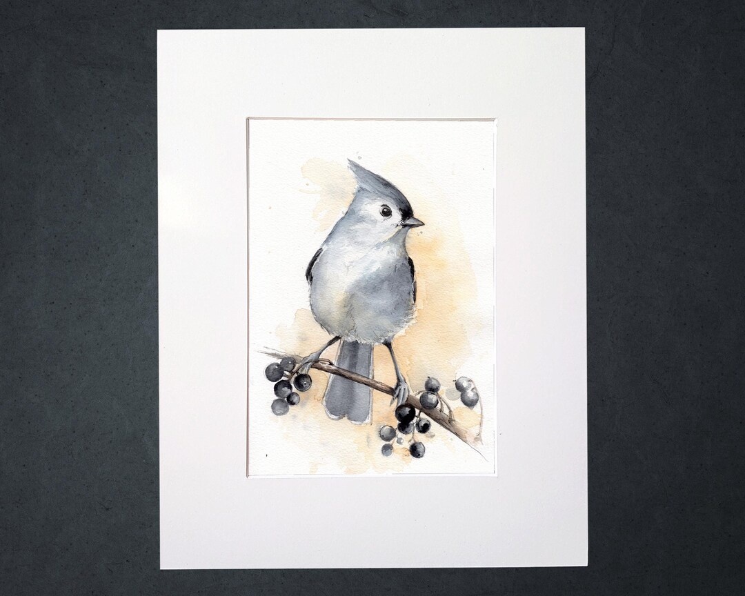 Bird Print. Tufted Titmouse Art Print of Original Watercolor Painting ...