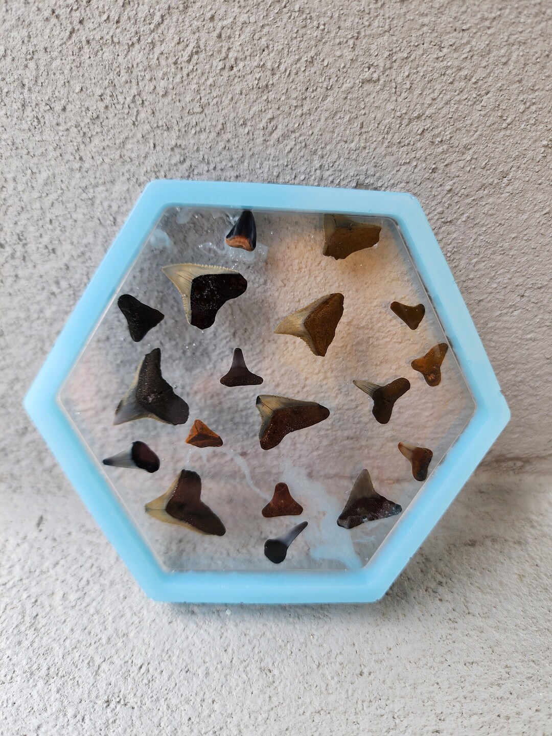 Shark Teeth, Beach Sand, Shells, Beach Shells, Coasters, Beach Theme - Etsy