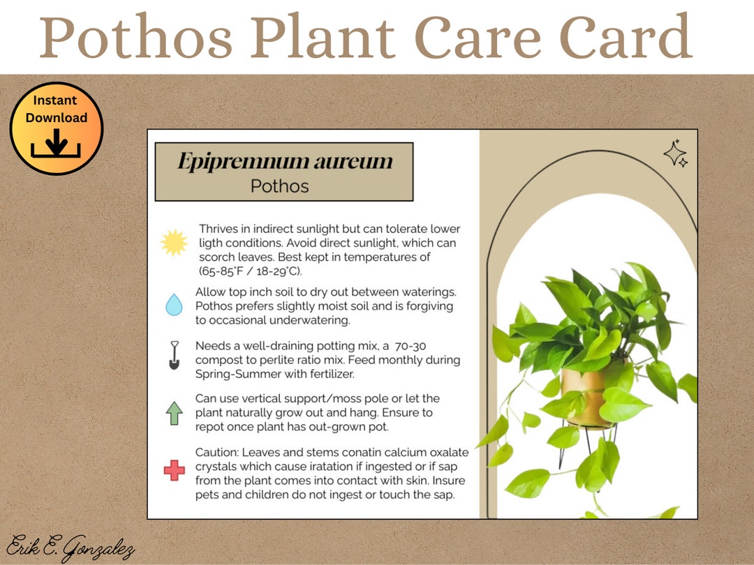 Pothos Care Guide Printable Instant Digital Download, Indoor Plant Care ...