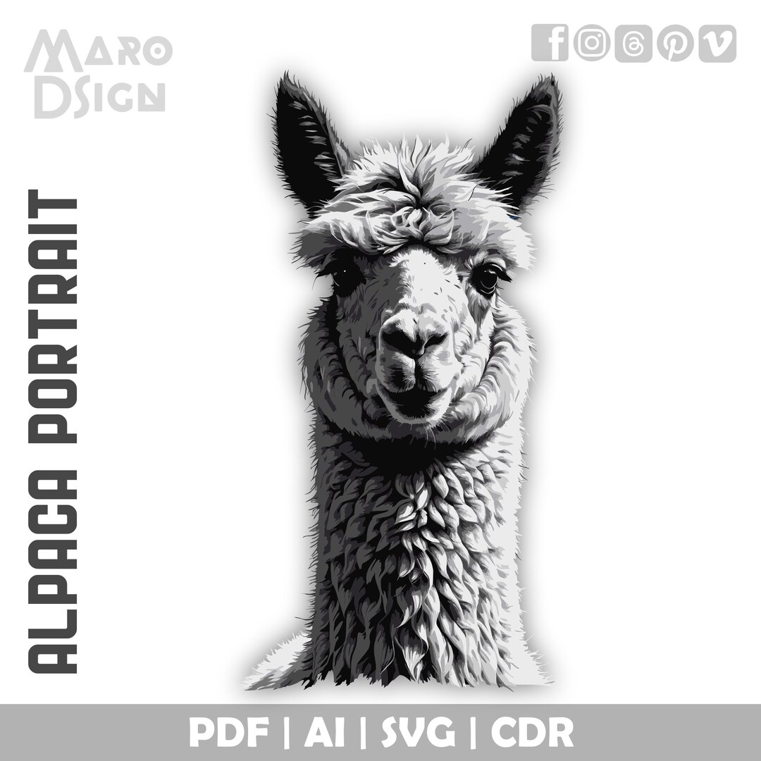 Alpaca Portrait Clipart | Customizable Vector Art for Graphic Design ...