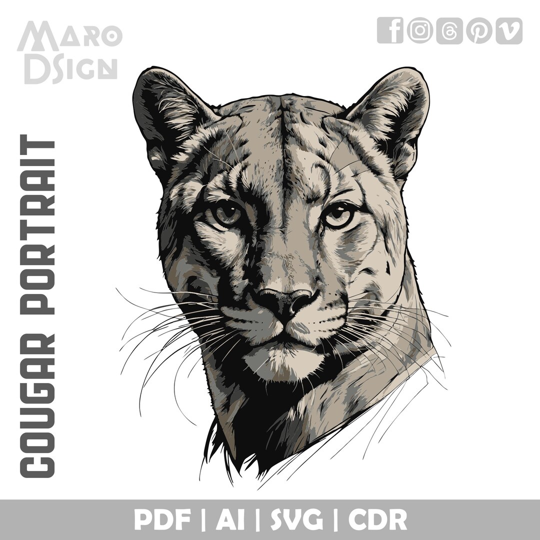 Cougar Portrait | Editable Mountain Lion Graphic for Creative Projects ...