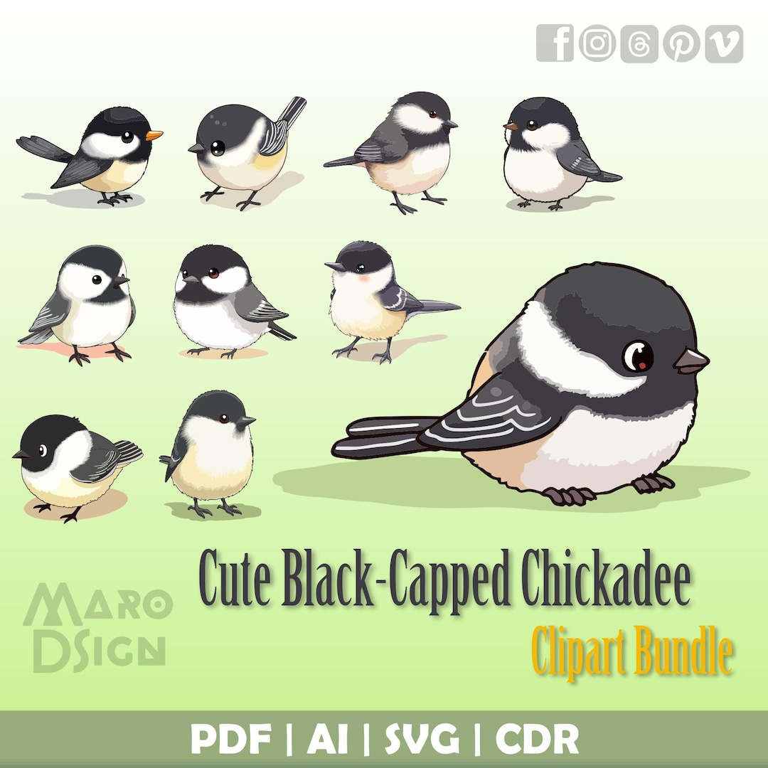 Cute Black-capped Chickadee Clipart Bundle | Playful Cartoon Bird ...