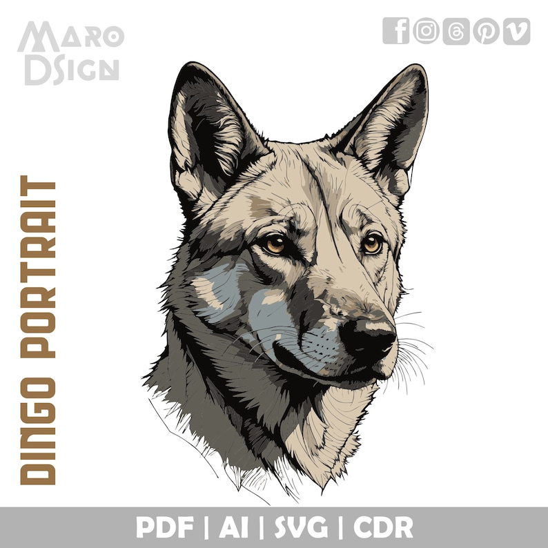Dingo Portrait | Capture the Essence of the Australian Dingo With This ...