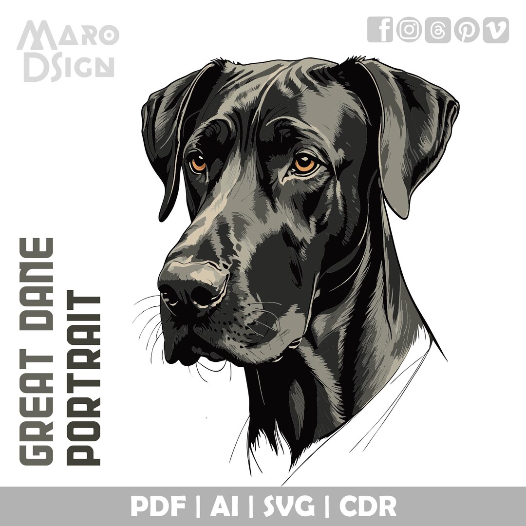 Great Dane Portrait | Realistic Dog Illustration, Perfect for Designers ...