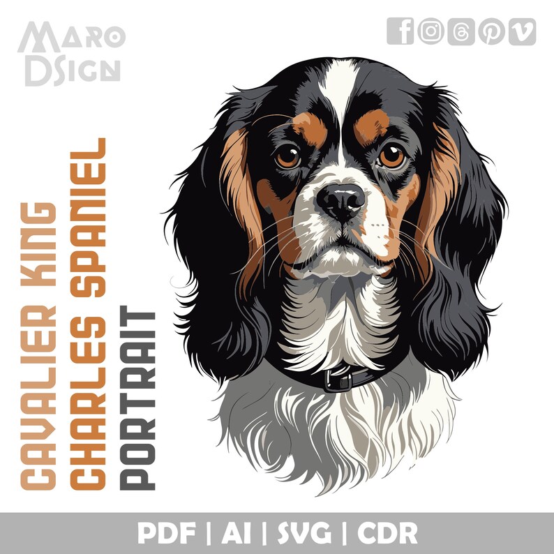 Cavalier King Charles Spaniel Portrait | Editable Vector Art for Pet ...