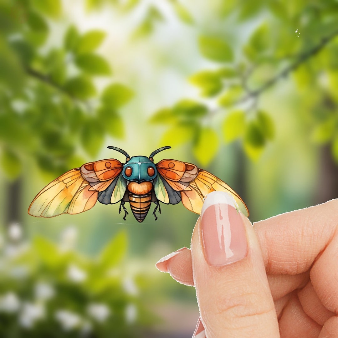 Cicada Sticker, Cicada Graphic Design, Insect Sticker, Vinyl Sticker ...