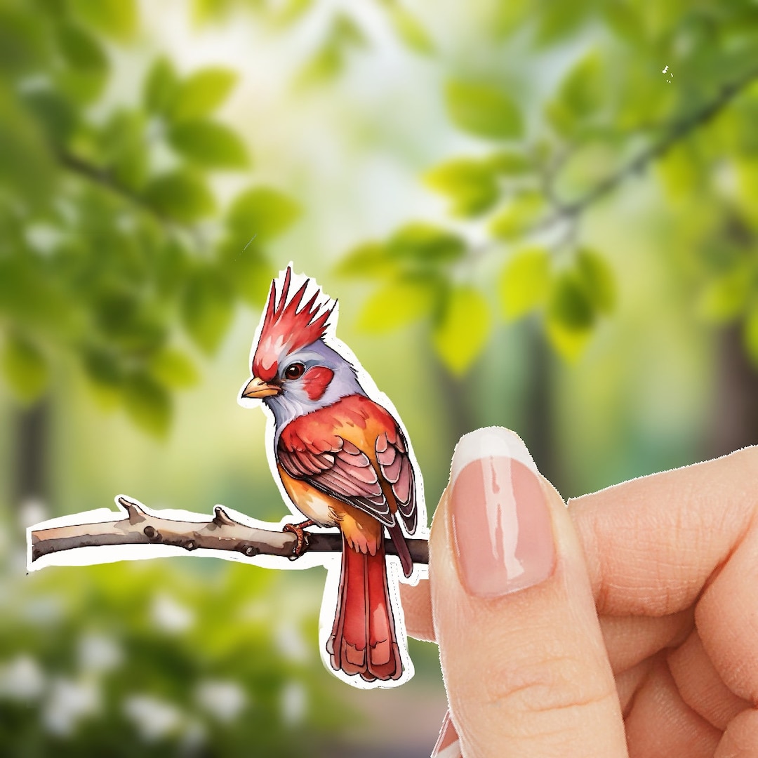 Pyrrhuloxia Sticker, Red Cardinal Sticker, Pyrrhuloxia Artwork, Bird ...