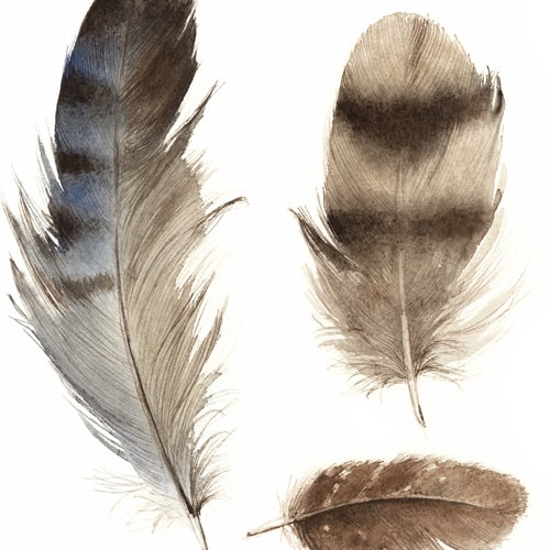 Feathers Painting Watercolor Art Wall Decor Earth Tones - Etsy