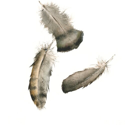 Watercolor Painting Nature Art Feather Artturkey Feathers | Etsy