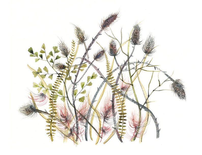 Thistles Print of Original Watercolor - Etsy