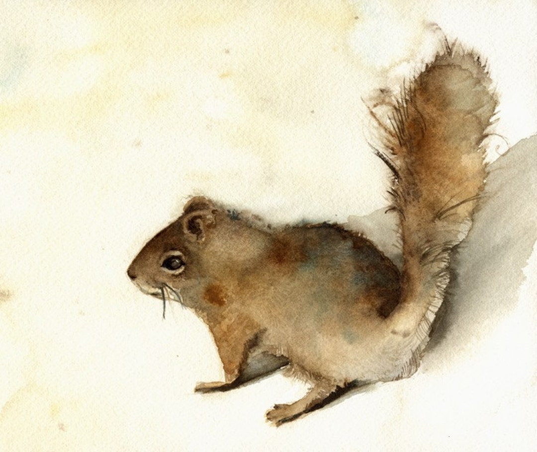 Squirrel Art, Squirrel Painting, Squirrel Watercolor, Nature Decor ...