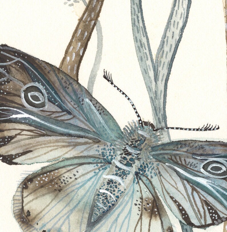 Moths Watercolor watercolor painting reproduction Moths No. | Etsy