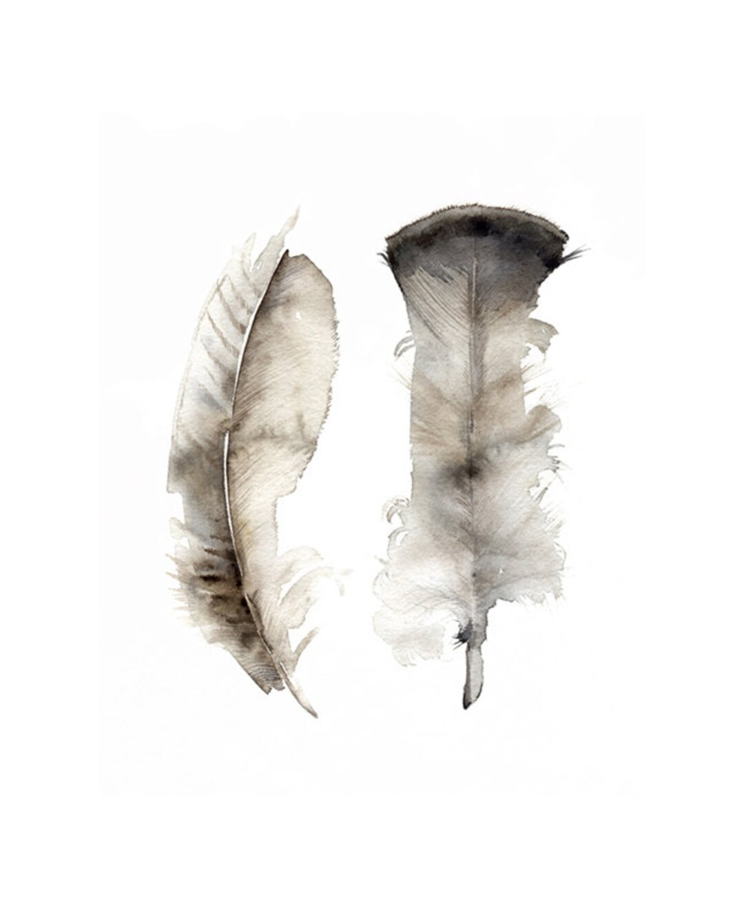 Feather Painting, Feather Art, Feather Watercolor Art Print-turkey ...