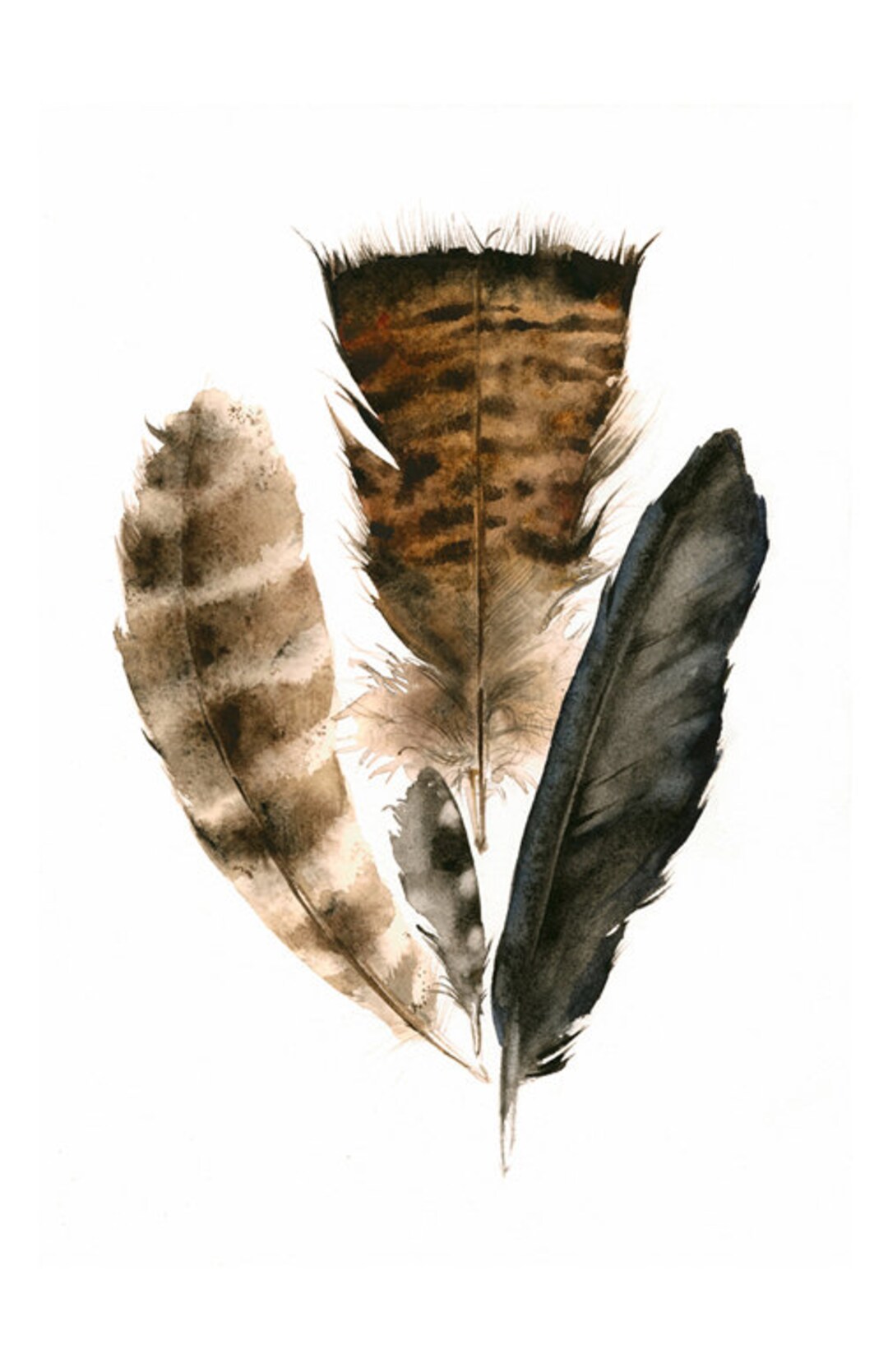 Feathers Painting, Watercolor, Art, Wall, Decor, Earth Tones, "found ...