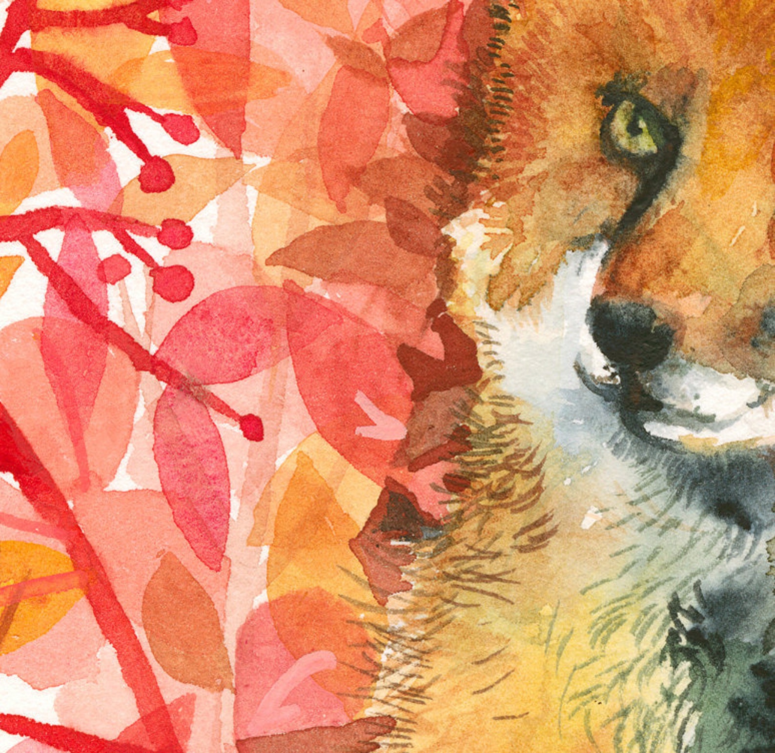 September Fox Limited Edition Archival Fox Art Print of - Etsy