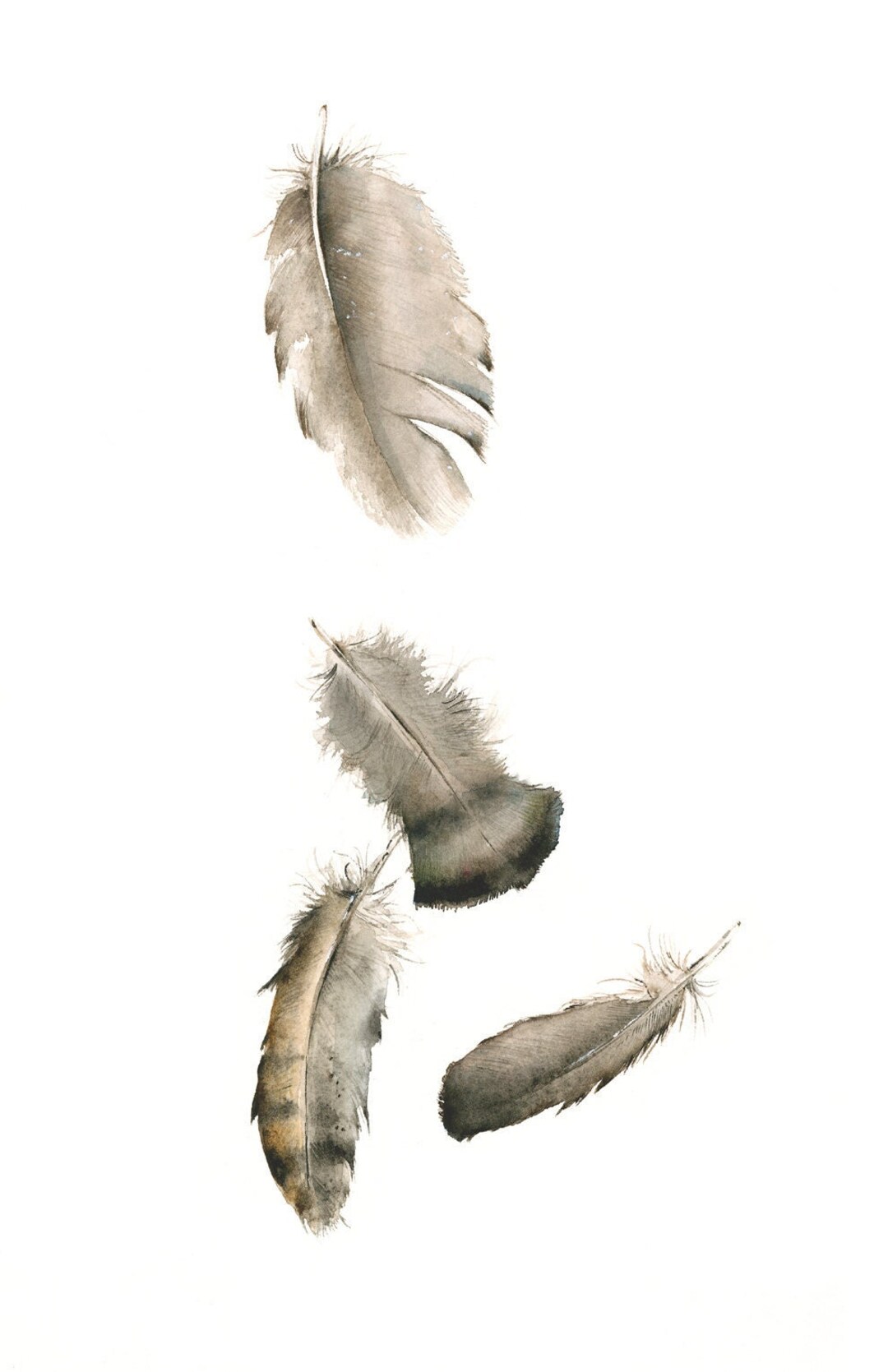 Watercolor Painting- Nature Art, Feather Art,turkey Feathers No. 2 ...