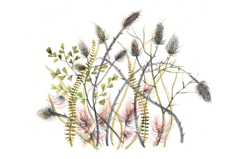 Thistles Print of Original Watercolor - Etsy