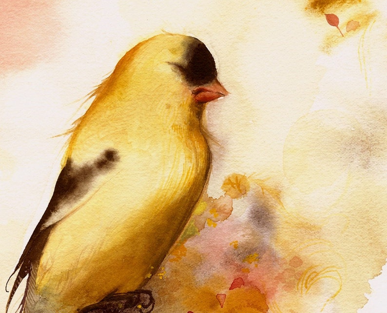 A Short Rest - Bird Art - Etsy
