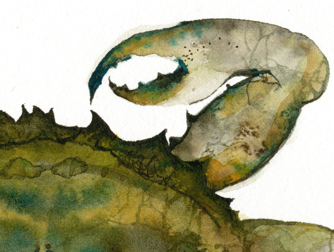 Crab Watercolor- Archival Print, Nautical Art, Beach, Ocean - Etsy