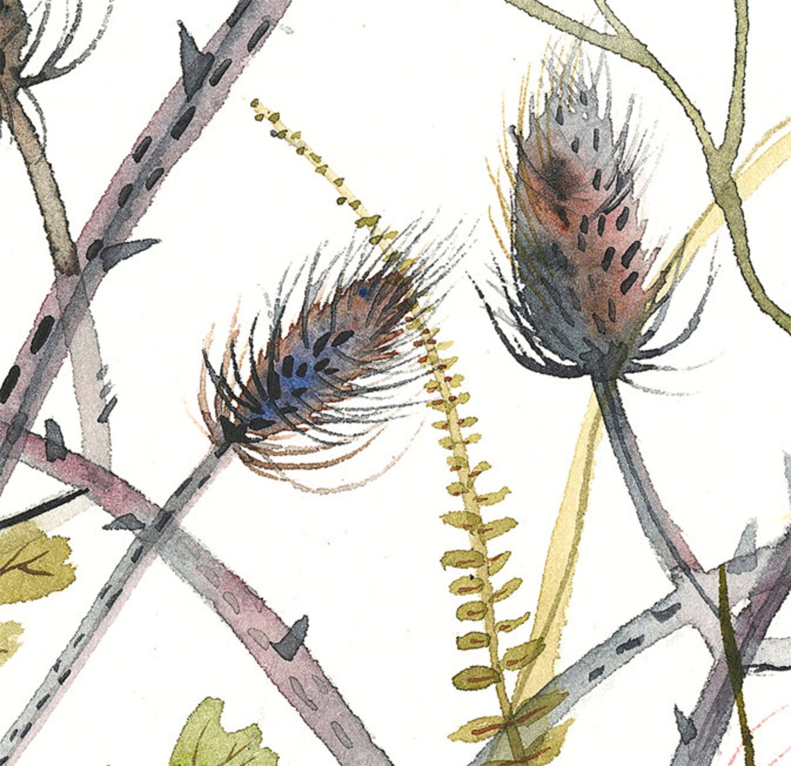 Thistles Print of Original Watercolor - Etsy
