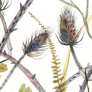 Thistles - Print of Original Watercolor - Etsy