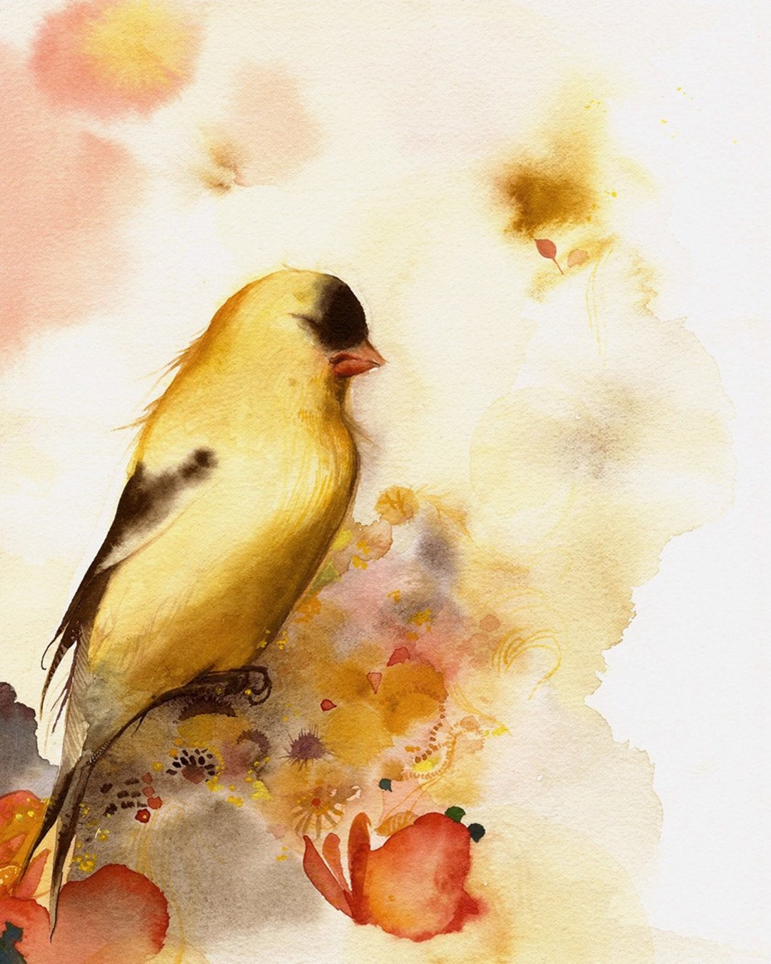 A Short Rest - Bird Art - Etsy