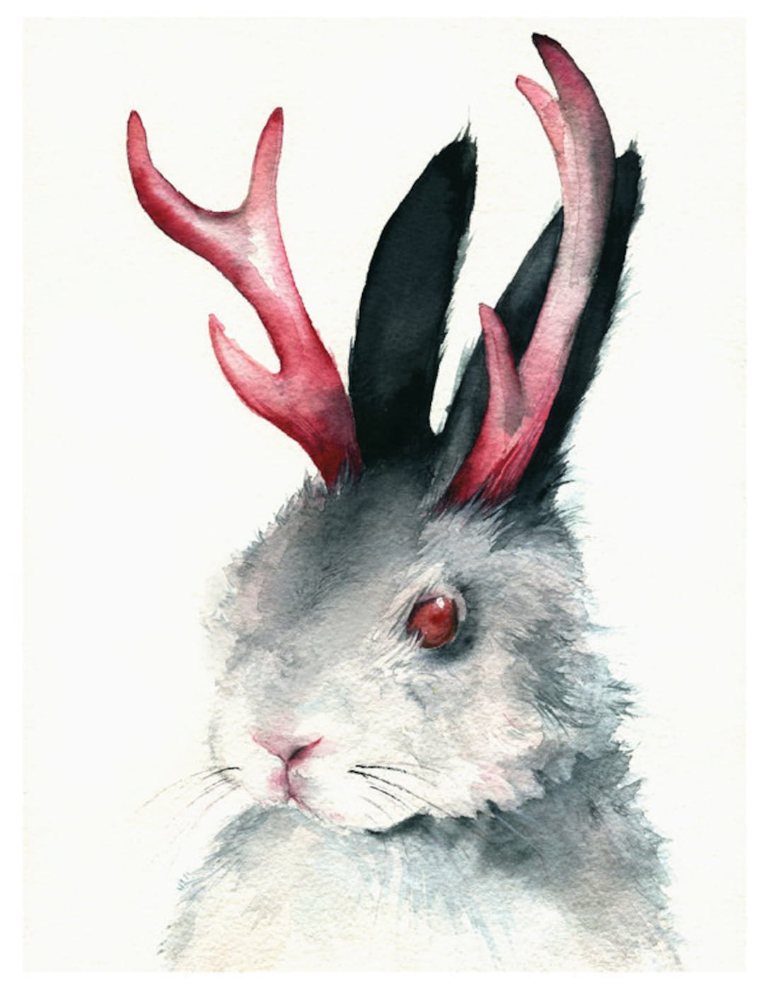Rabbit, Jackalope Art- "jack" Watercolor Print, Jackalope Art, Rabbit Painting - Etsy