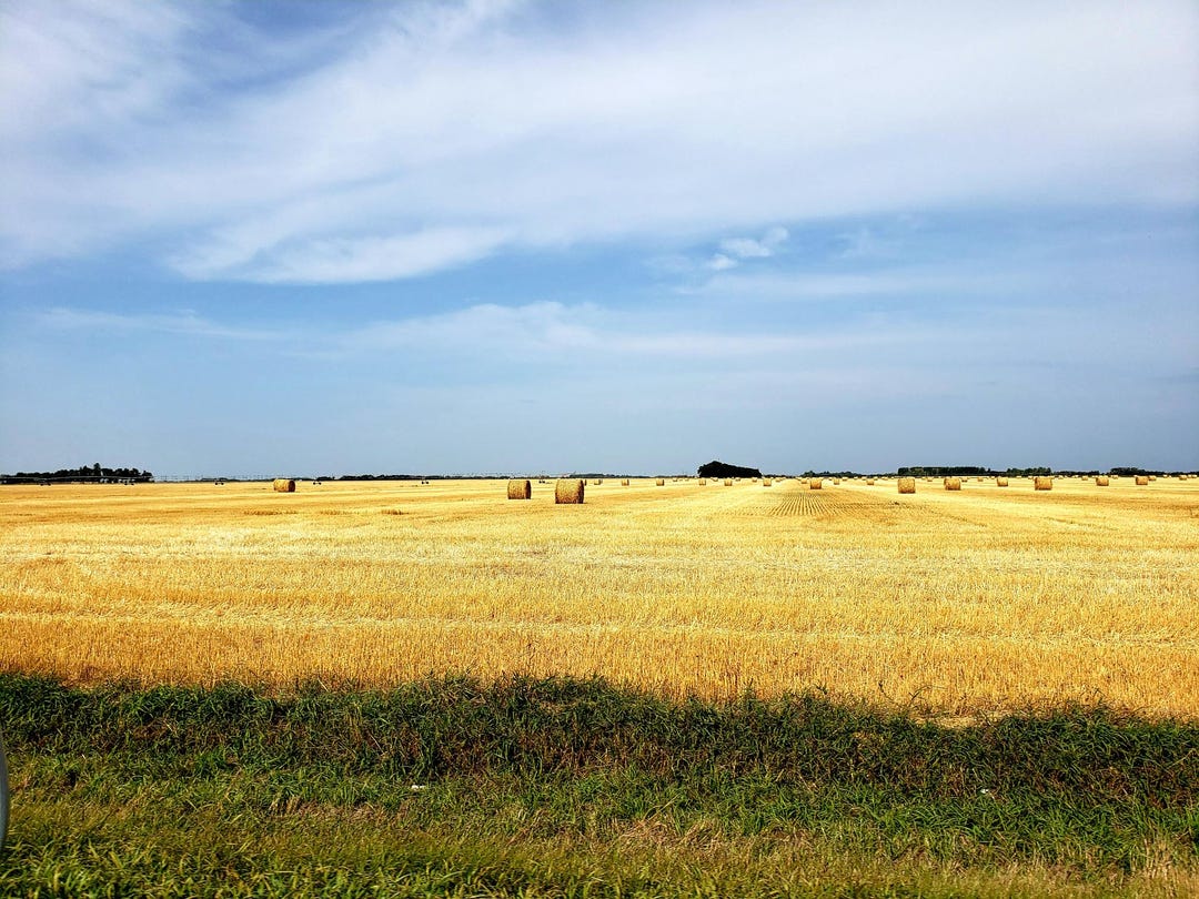 Golden Hay Field Photo - Digital Download - Vintage Summer Charm ...