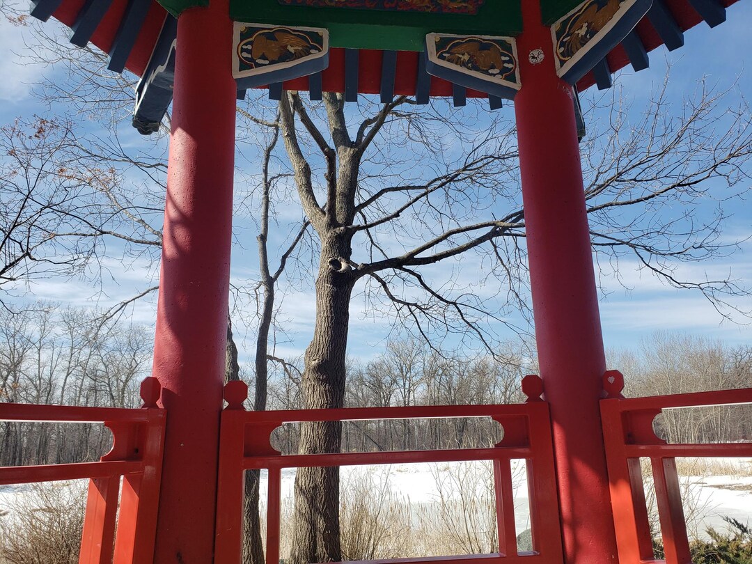 Red Chinese Pavilion Photo - Digital Download - Vivid Spring Beauty ...