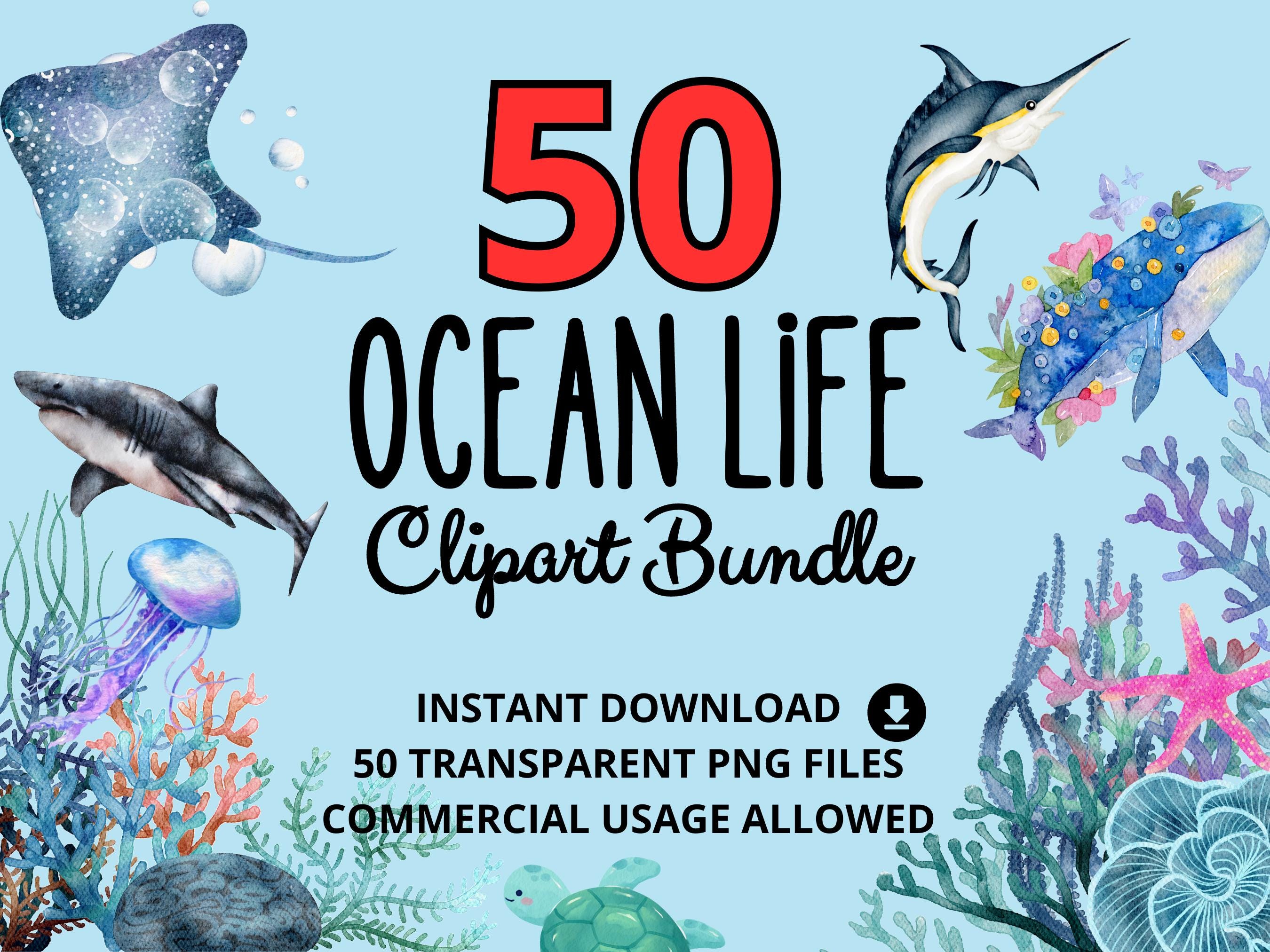50 Ocean Life Clipart Bundle | Watercolor Marine Animals PNG | Instant ...