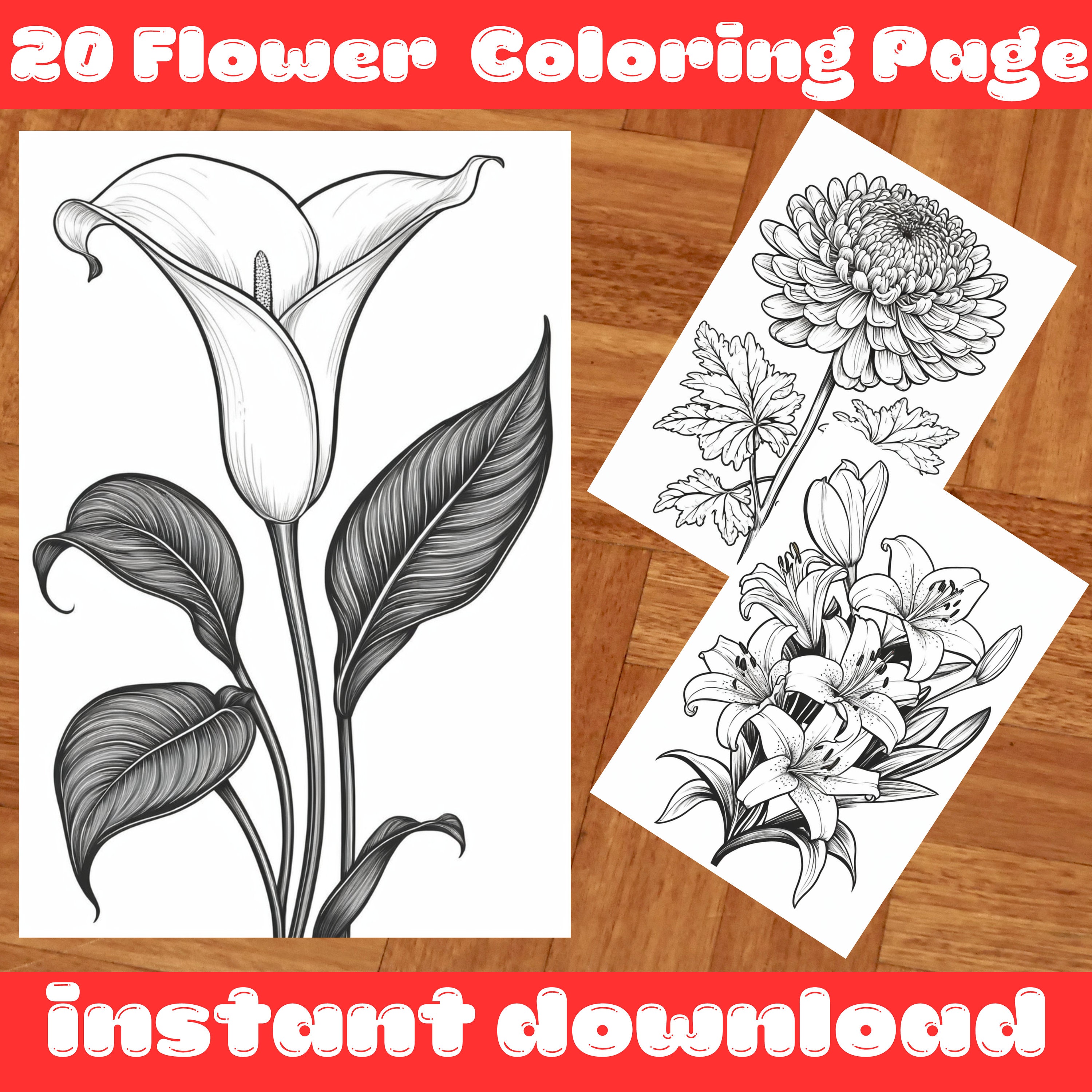 20 Flower Collection Coloring Page, Adults Kids Instant Download ...