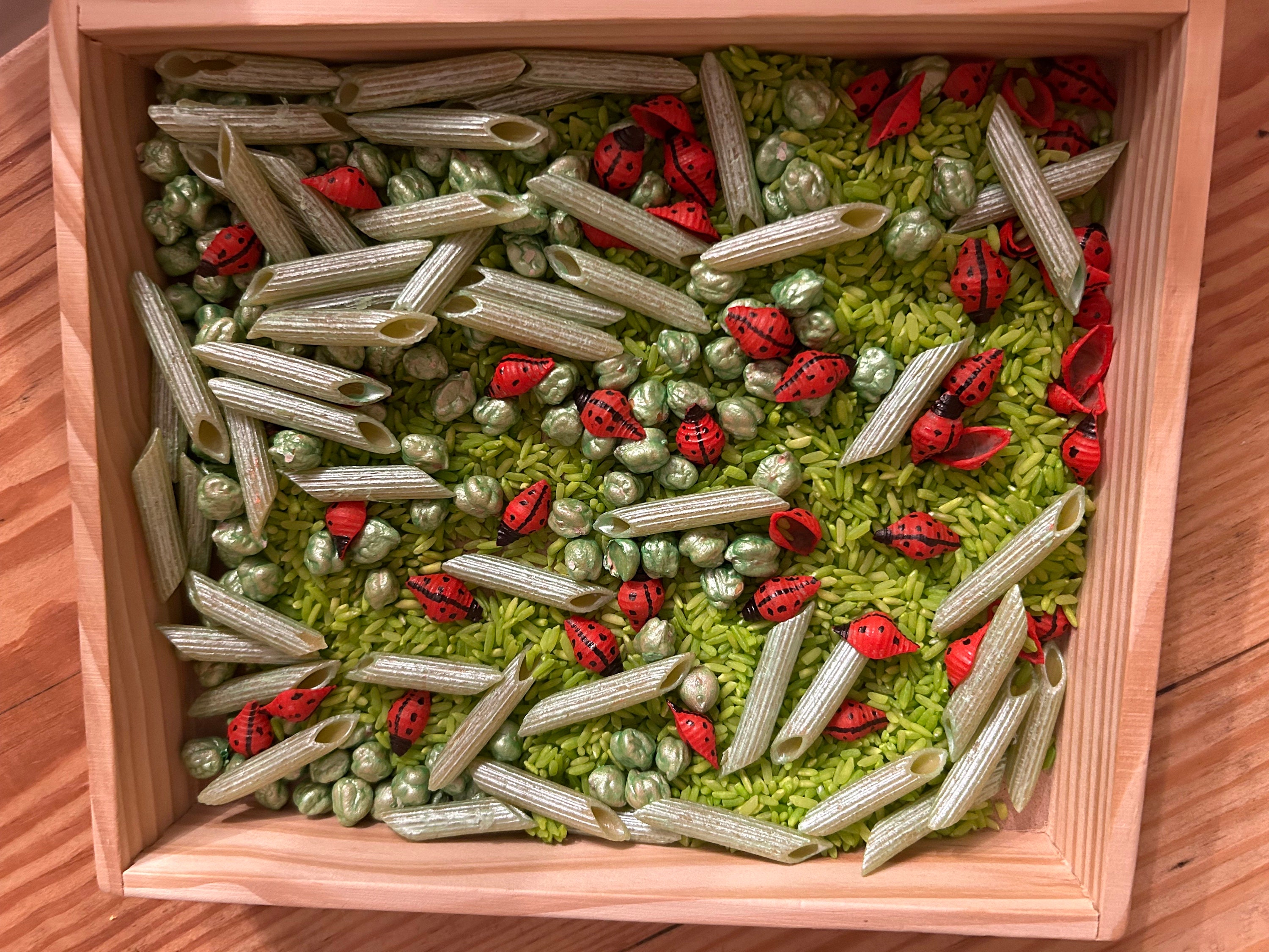 Sensory Bin Filler - Ladybug Mix - Etsy