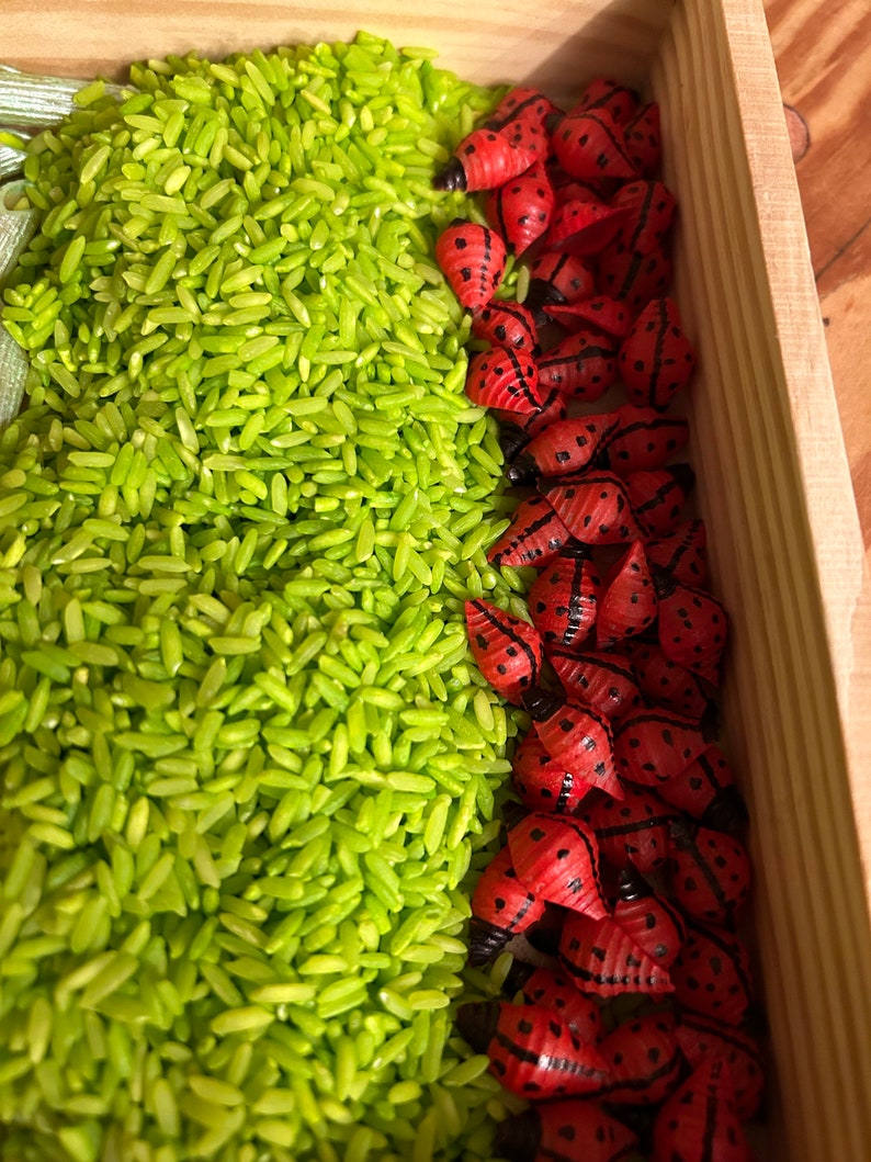 Sensory Bin Filler - Ladybug Mix - Etsy