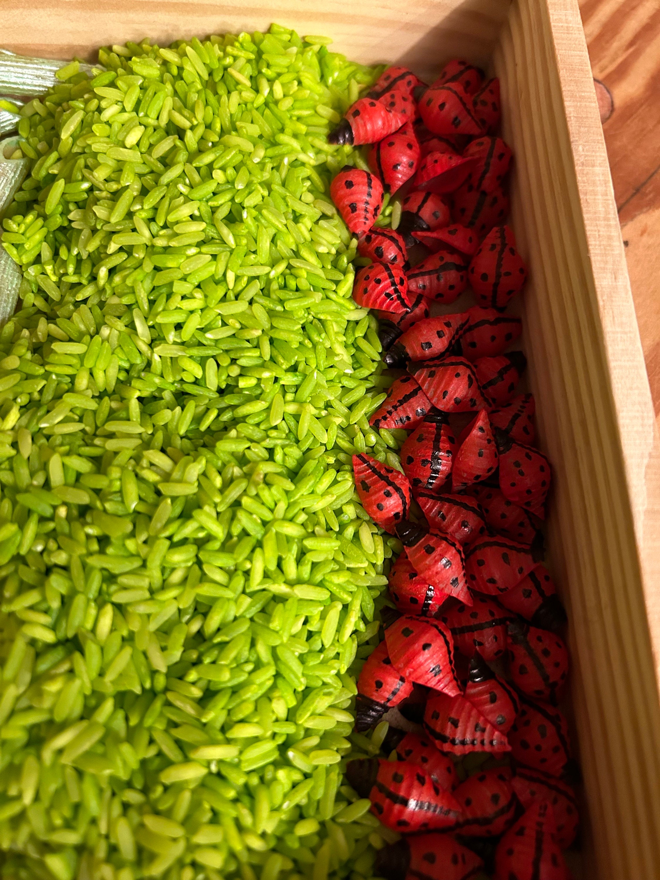 Sensory Bin Filler - Ladybug Mix - Etsy