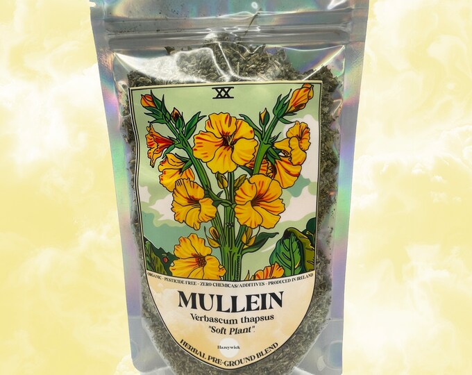 Mullein PNG Clip Art, Hand Drawn Mullein Illustration, Medicinal Plant ...