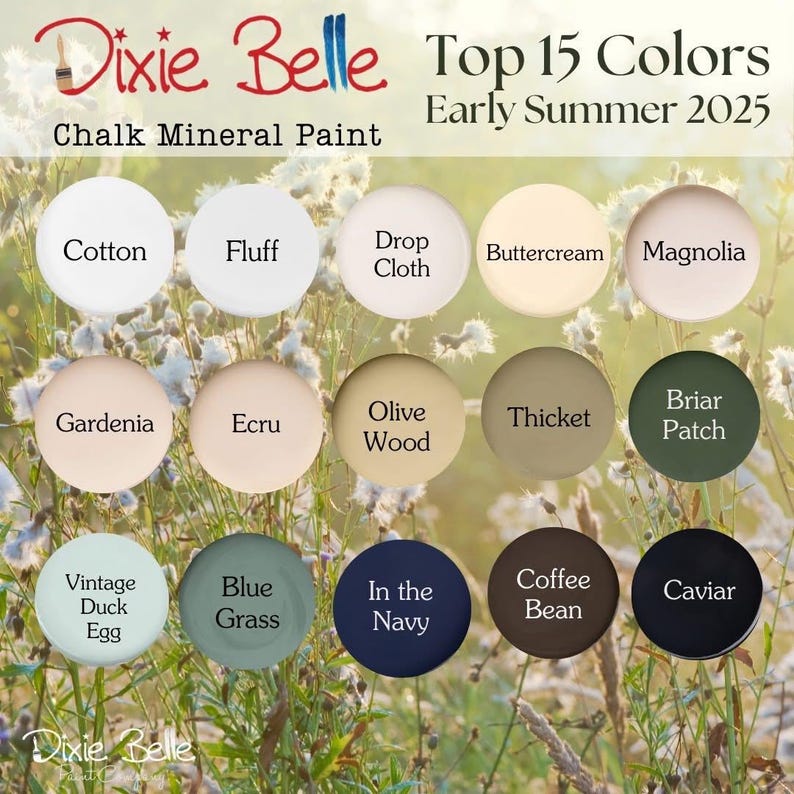 Dixie Belle Chalk Mineral Paint - Etsy