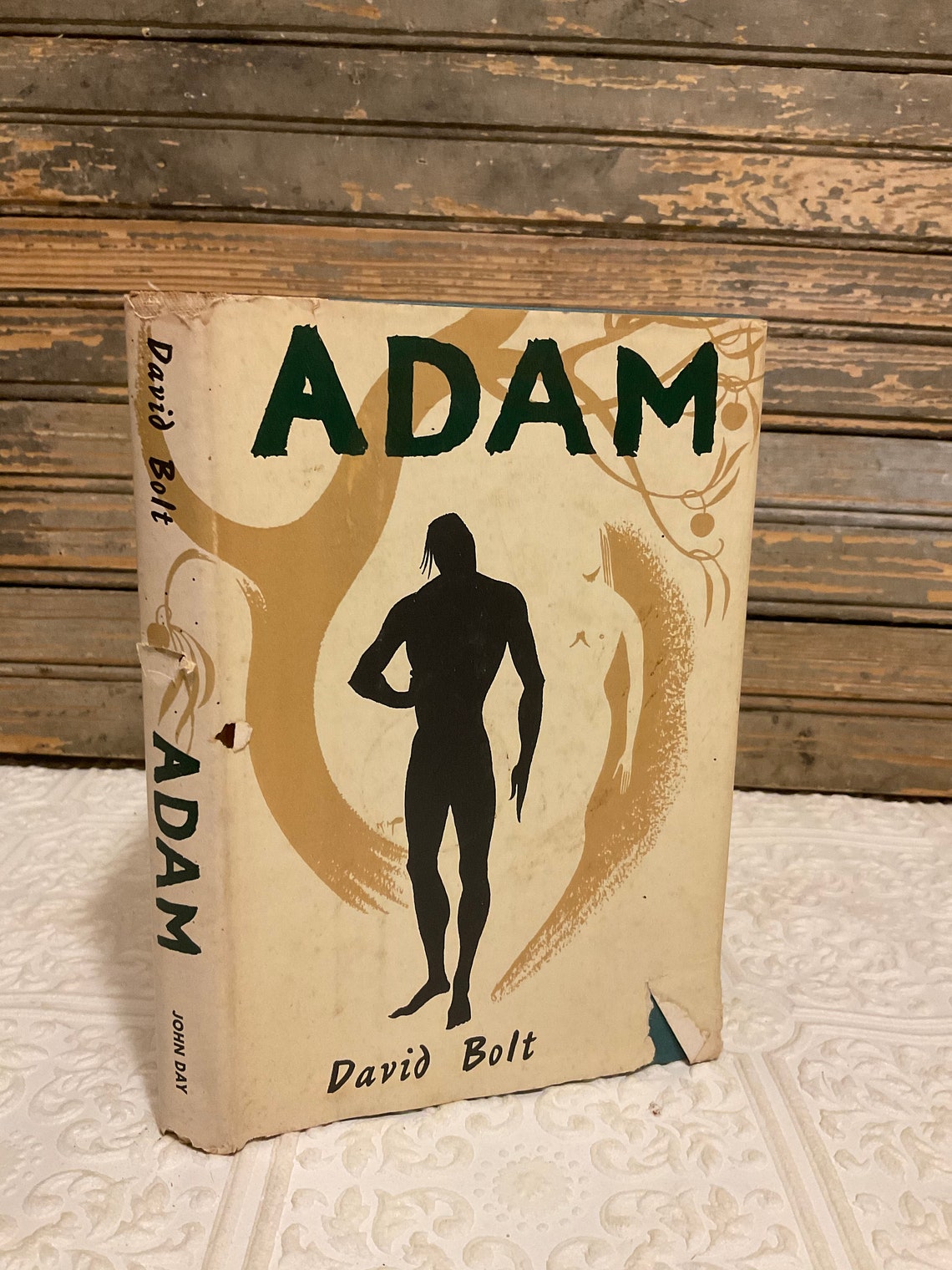 Adam by David Bolt 1960 Vintage Book - Etsy UK
