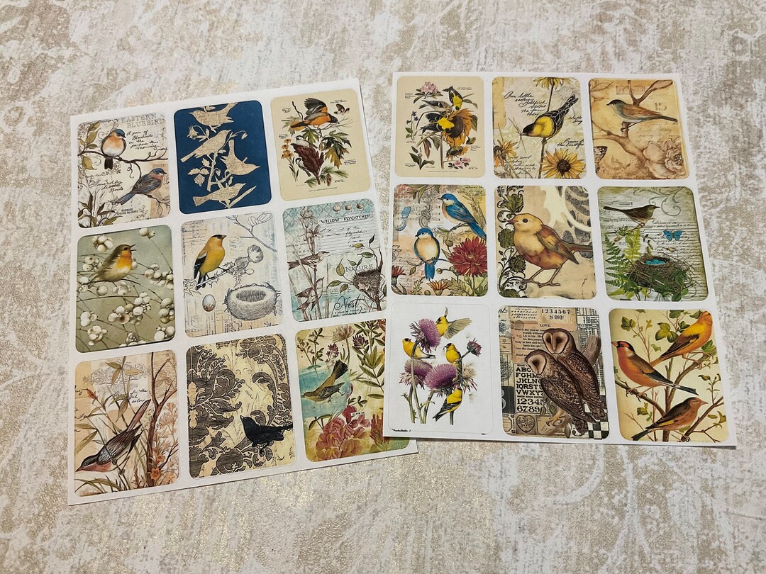 Sticker Sheets 2 Bird Themed Sticker Sheets - Small Stickers - Birds ...