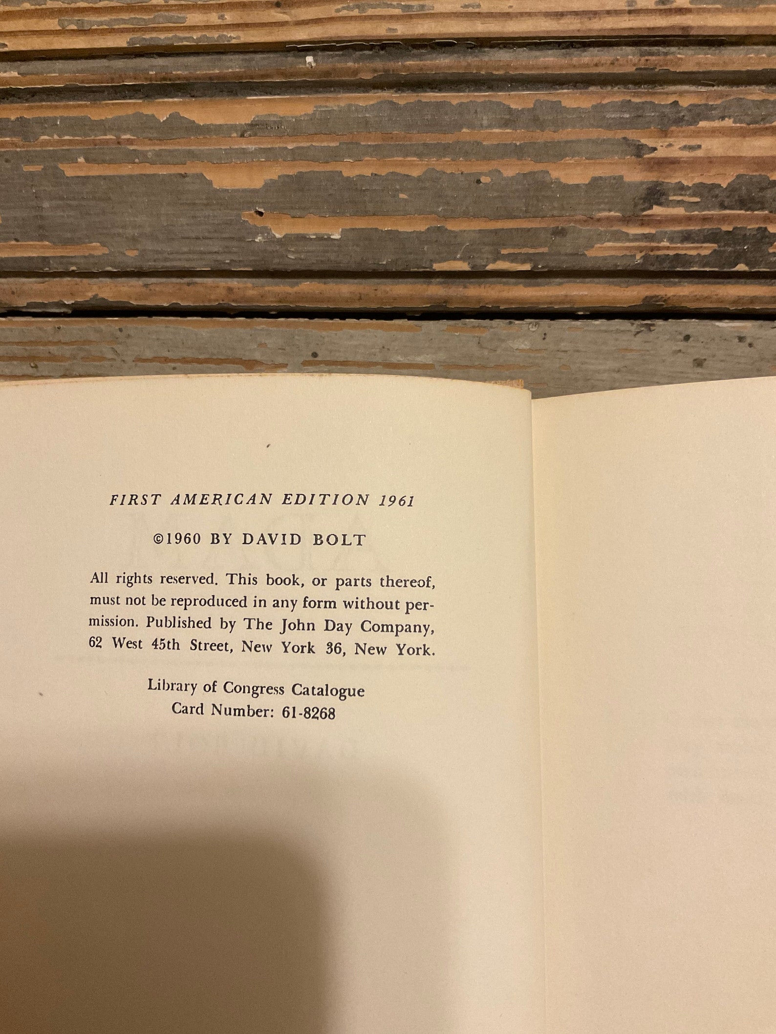 Adam by David Bolt 1960 Vintage Book - Etsy UK